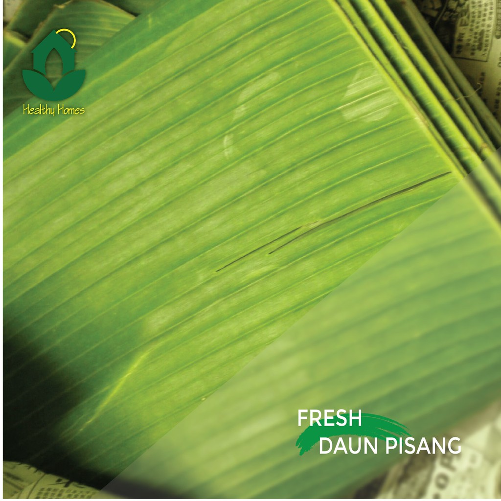 Jual Daun Pisang Lembar Jabodetabek | Shopee Indonesia
