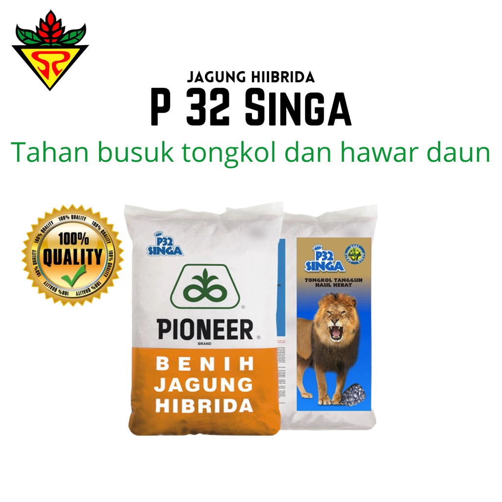Jual Benih Bibit Jagung Pioneer P32 Singa - 1Kg | Terjamin keaslian produk IExpired Juni 2025 ...