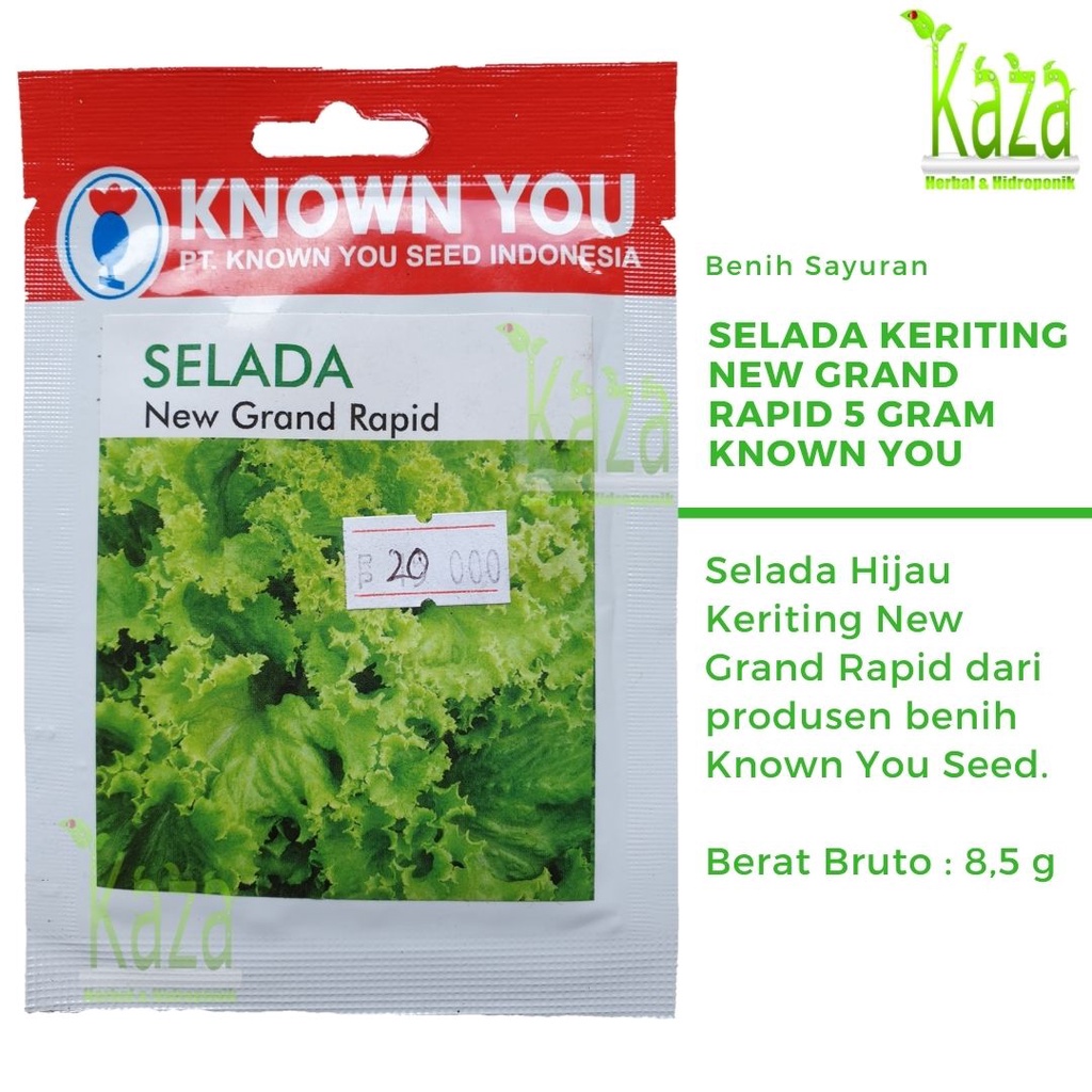 Jual Benih Selada Hijau Keriting New Grand Rapid 5 gram Known You | Shopee Indonesia