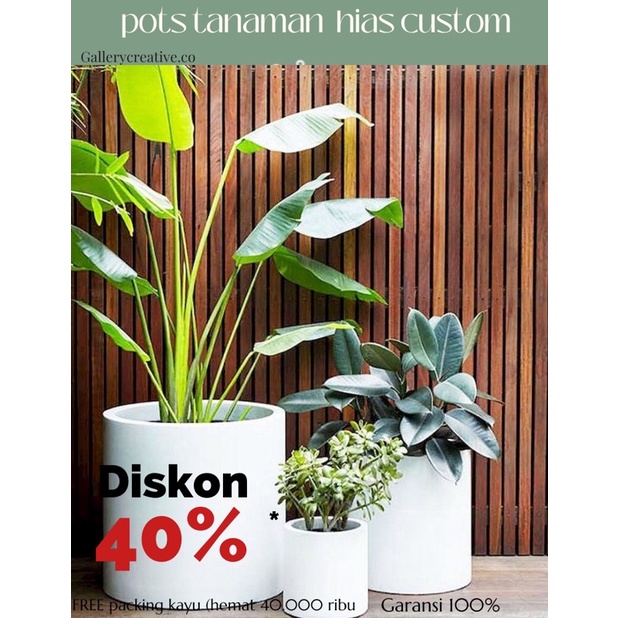 Jual Pot besar putih/ pot terracotta / pot 30 cm (PREMIUM) | Shopee ...