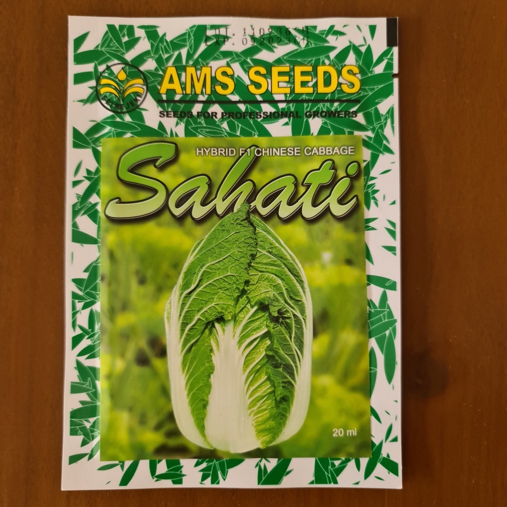 Jual Sahati Bibit Sawi Putih - AMS SEEDS | Shopee Indonesia