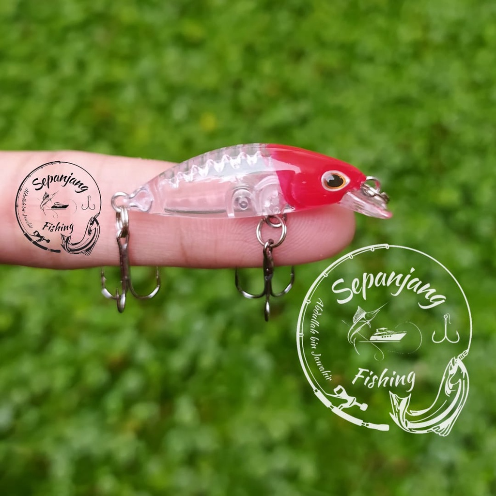 Jual Super Mini Minnow UL ~ Micro Minnow 4 cm / 2,2 gram ~ sinking ~ Ultraligh minnow ~ mancing ...