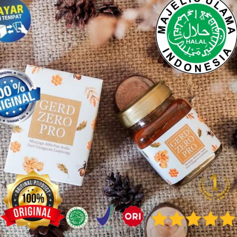 Jual PRODUK TERMURAH Paket 1 botol Murni Gerd Zero Pro Obat Herbal ...