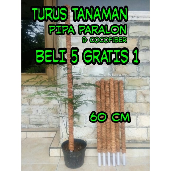 Jual Turus penyangga tanaman menjalar penopang ajir tiang tongkat 60 cm ...