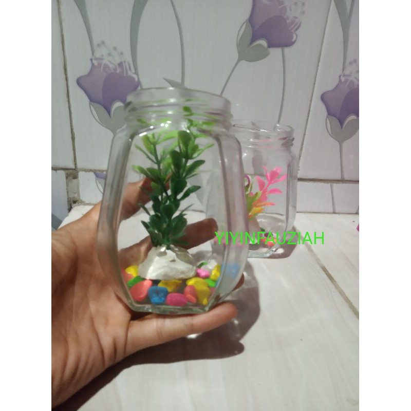 Jual botol madu toples tempat ikan cupang botol tempat pelihara ikan ...
