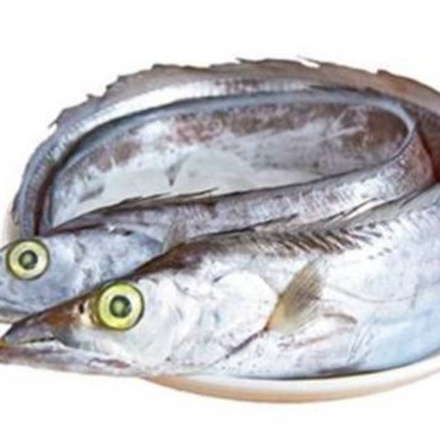 Jual Ikan layur fresh | Shopee Indonesia Jual Ikan layur fresh | Shopee Indonesia