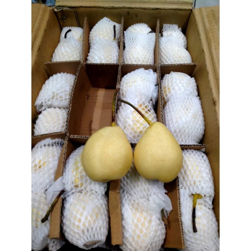 Jual pear yalie 1kg | Shopee Indonesia