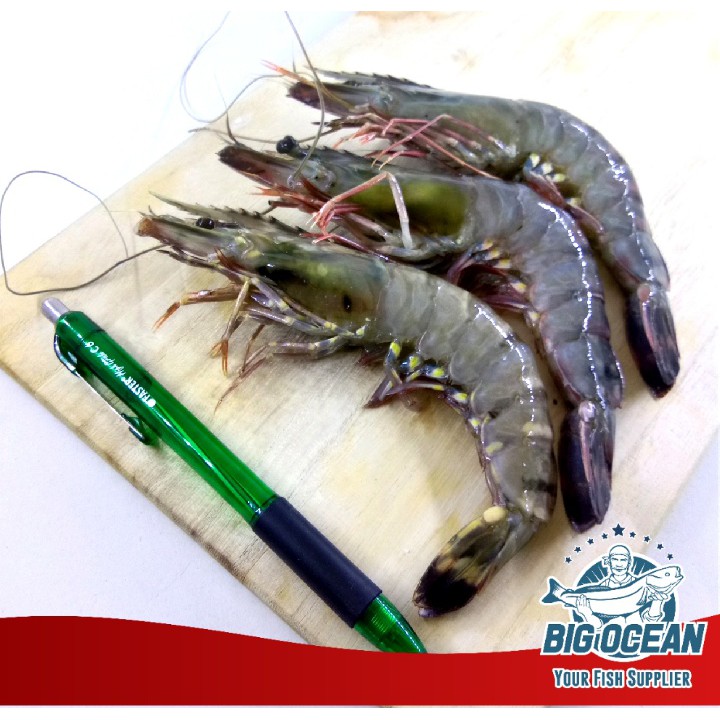 Jual Udang Tiger|Black tiger prawn JUMBO / Udang Windu size 25-30 @1kg ...