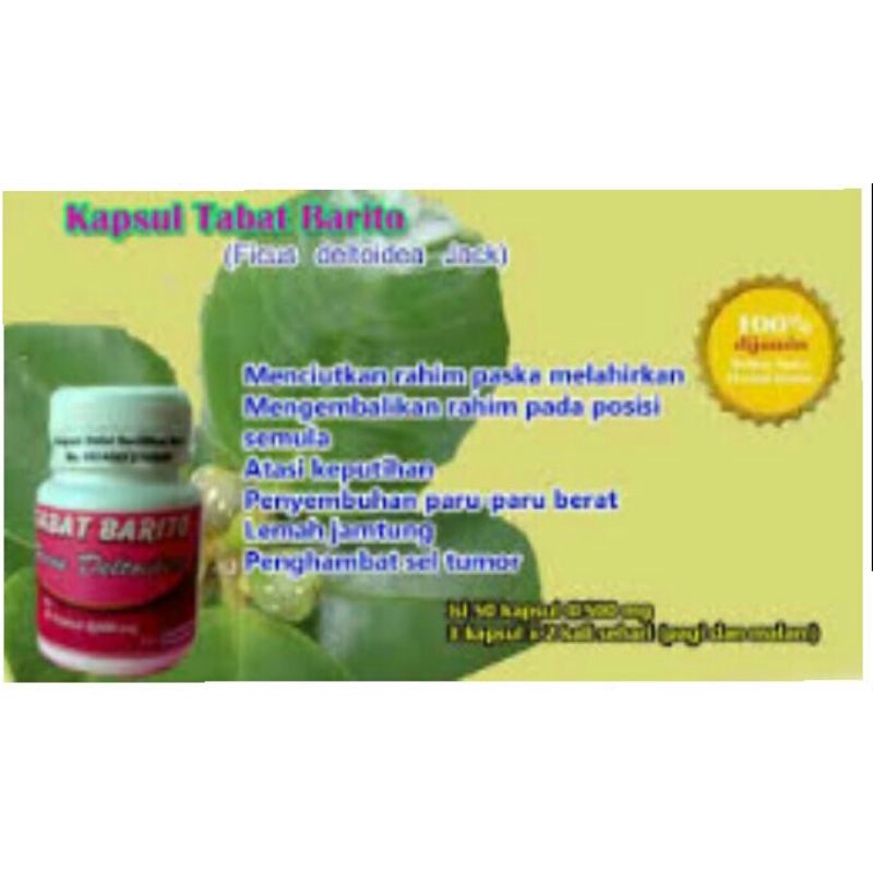 Jual TABAT BARITO Kapsul Herbal Kencing Manis Kolesterol Eksim Lemah ...