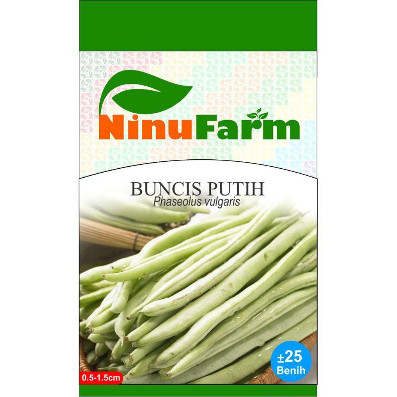Jual BENIH BUNCIS PUTIH / BIBIT HUNCIS KACANG PUTIH / BIBIT SAYURAN ...