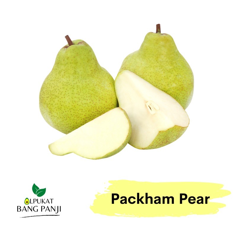 Jual ALPUKAT BANG PANJI - Pear Packam Afrika 1kg | Shopee Indonesia