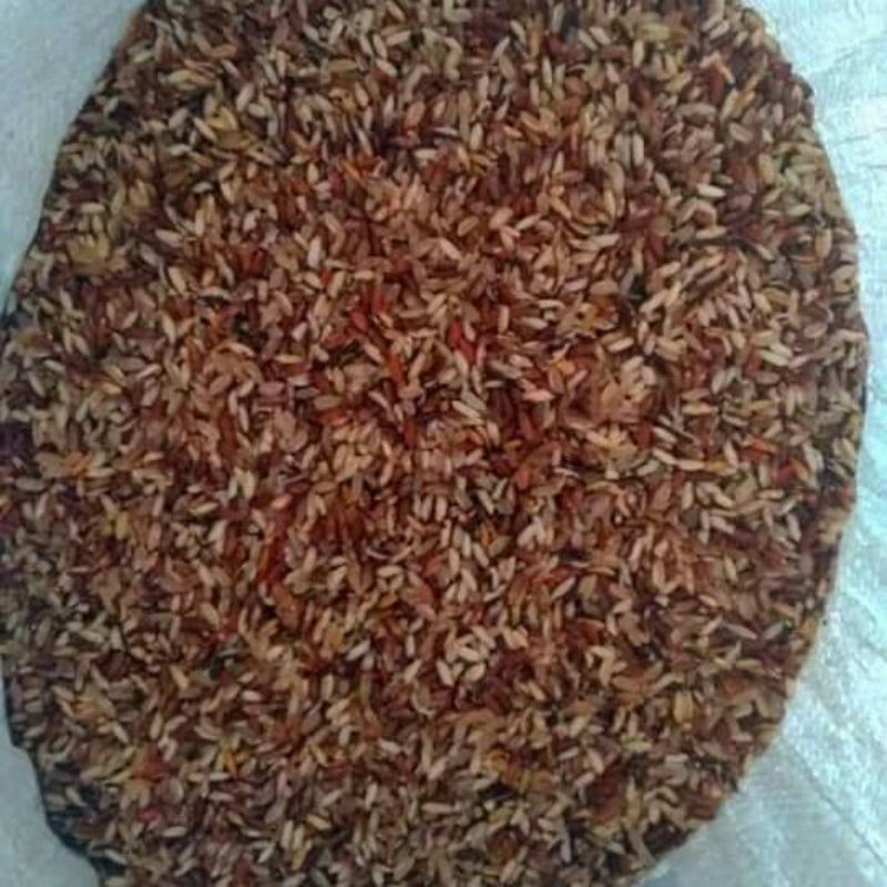 Jual SI PULEN BERAS MERAH CITOREK 1KG LEBAK BANTEN | Shopee Indonesia