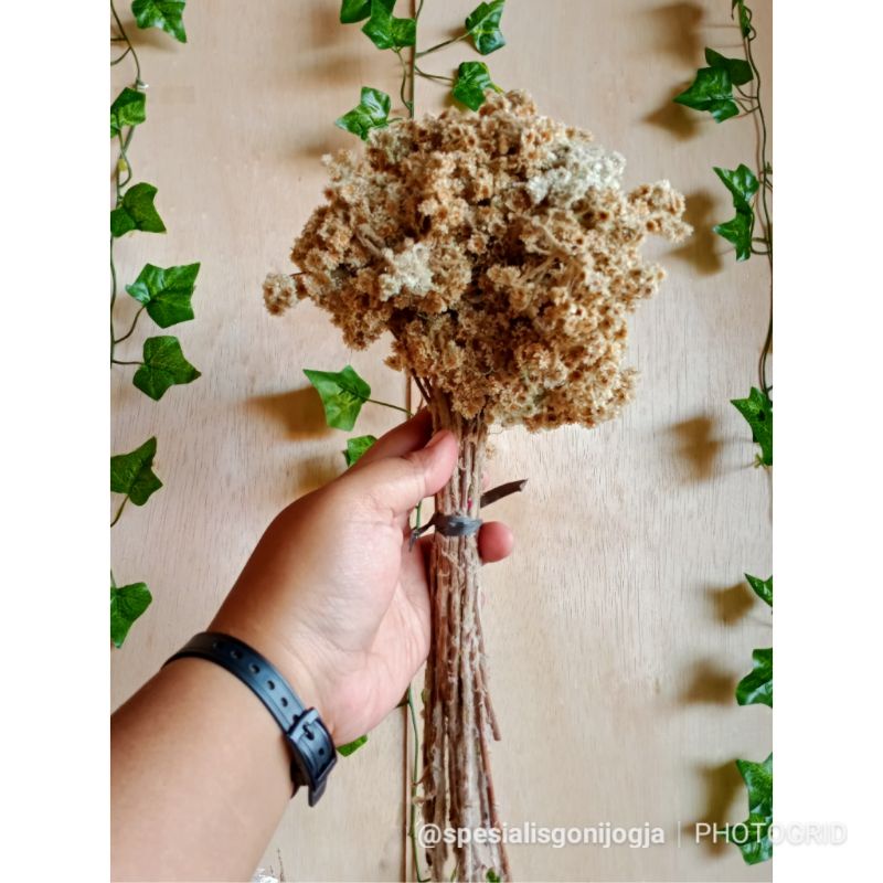 Jual 1ikat Bunga Abadi Natural/Bunga Cantik | Shopee Indonesia