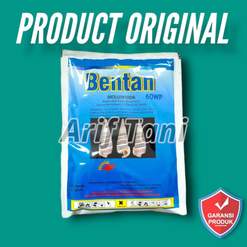 Jual BENTAN 60 WP 50 GR | Shopee Indonesia
