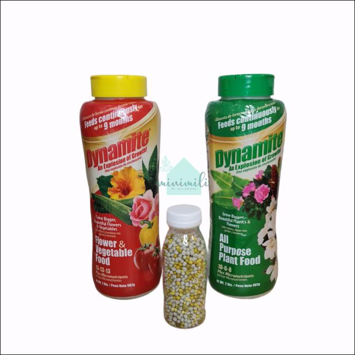 Jual PUPUK DYNAMITE MIX HIJAU MERAH | Shopee Indonesia