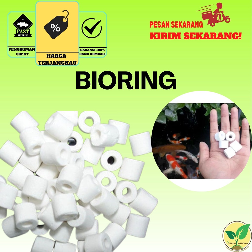 Jual Bioring Bio ring Bio Ceramic Ring Filter Kolam Aquarium Ikan Rumah ...