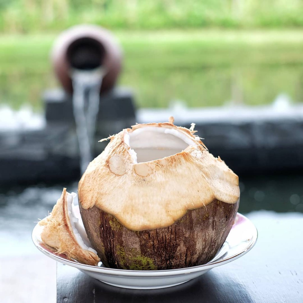 Jual Kelapa Muda 1 butir | Shopee Indonesia