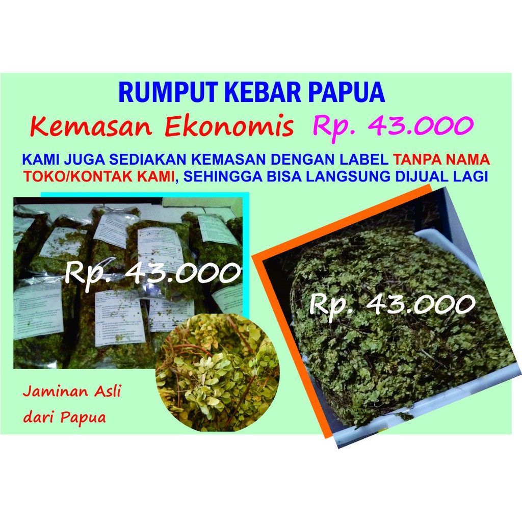 Jual Rumput kebar papua terapi kesuburan | Shopee Indonesia