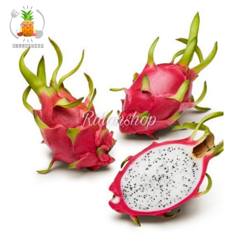 Jual Buah Naga Putih | Dragon White Kg | Shopee Indonesia