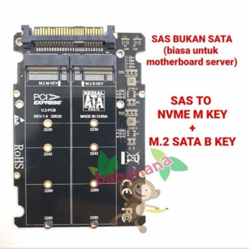 Jual SSD M.2 nvme and M.2 sata to SAS converter adapterd card untuk motherboard server bukan ...