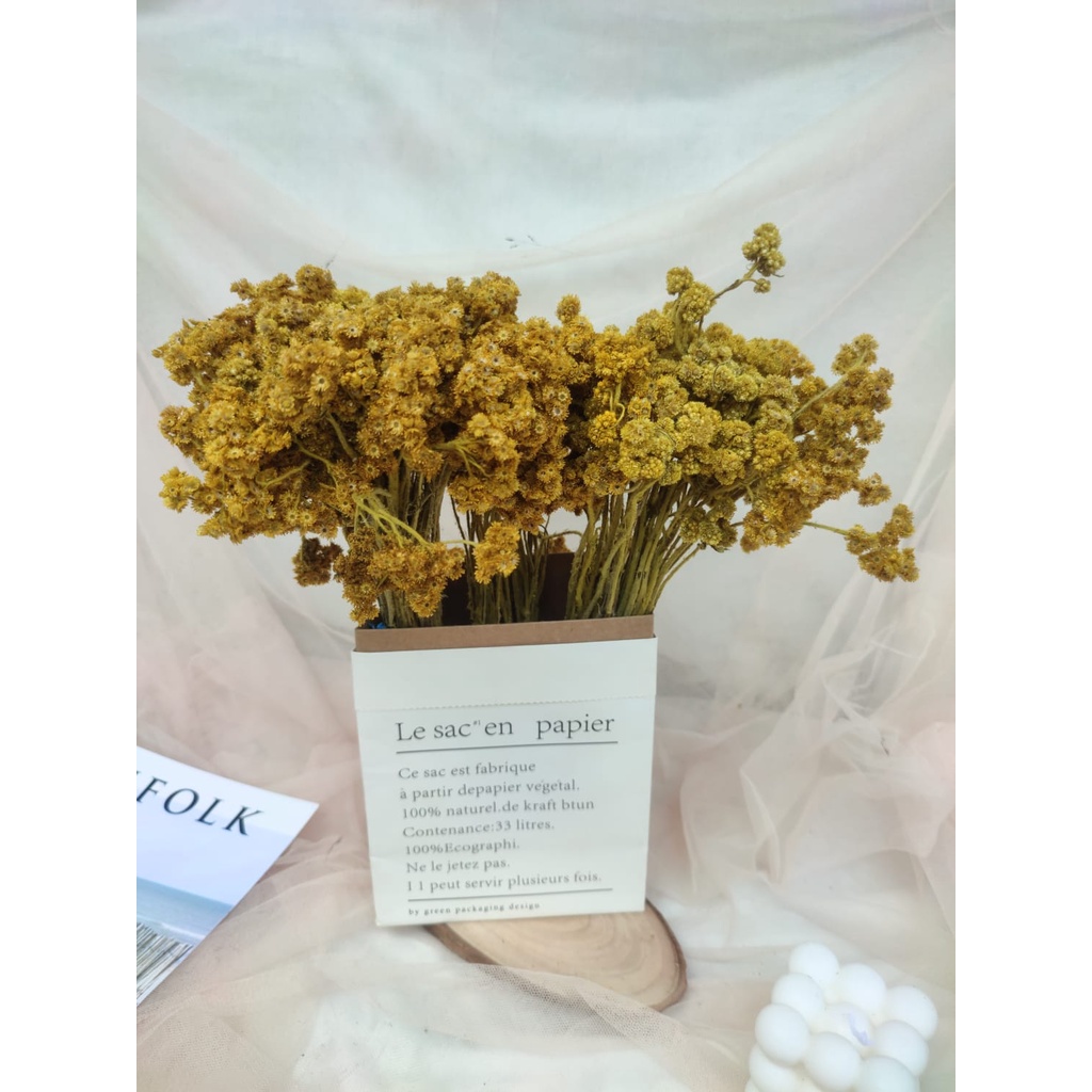 Jual Bunga edelweis | Boroco | Langurus | phalaris lokal | baby breath ...
