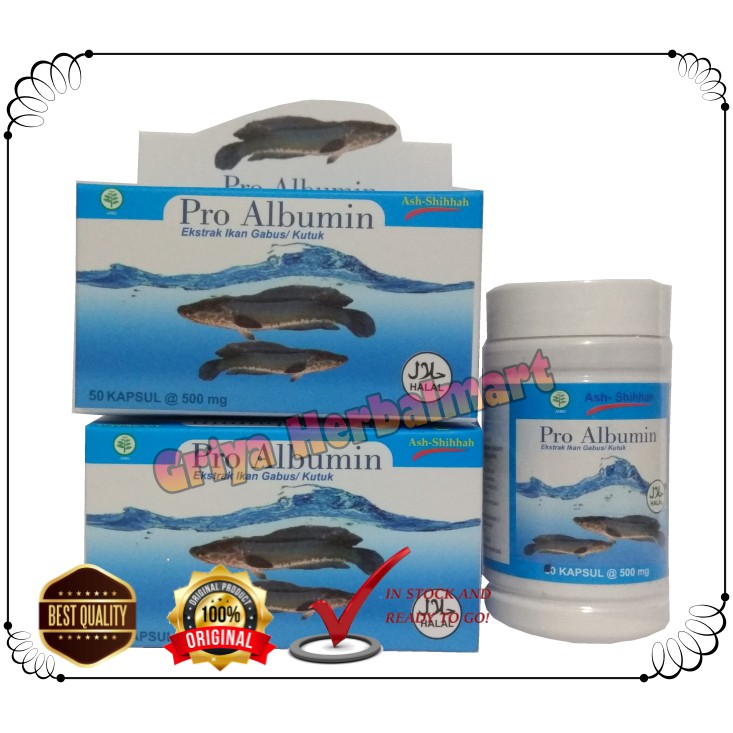 Jual Pro Albumin Kapsul Ekstrak Ikan Gabus Kutuk Ash Shihhah | Shopee Indonesia
