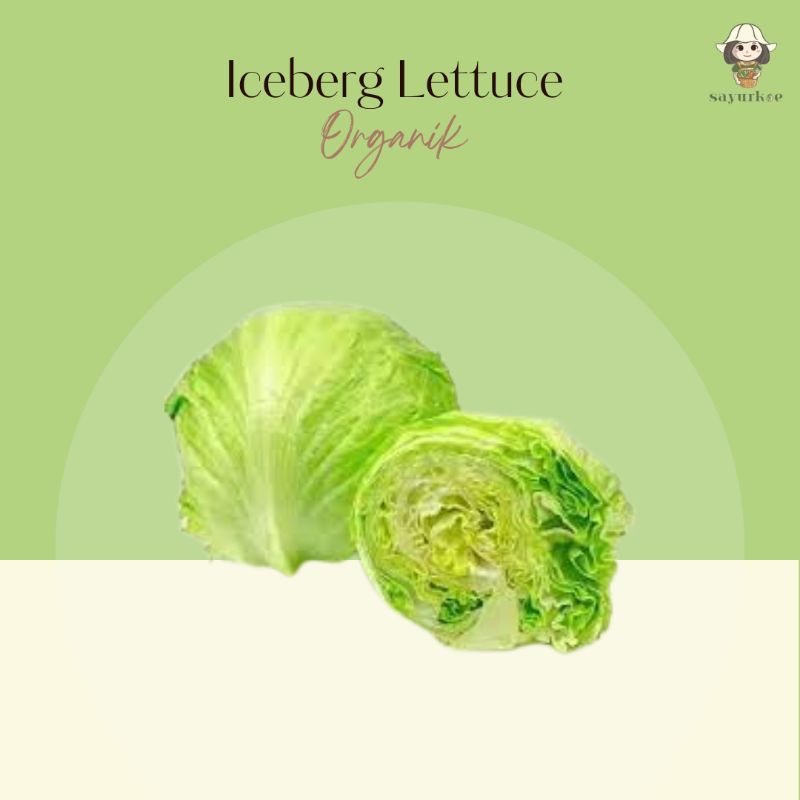 Jual Head Lettuce / Selada / Iceberg Lettuce Organik 500gr | Shopee ...
