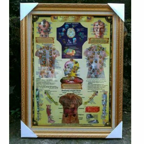 Jual Poster Bekam 9in1 TAMPA BINGKAI | Shopee Indonesia