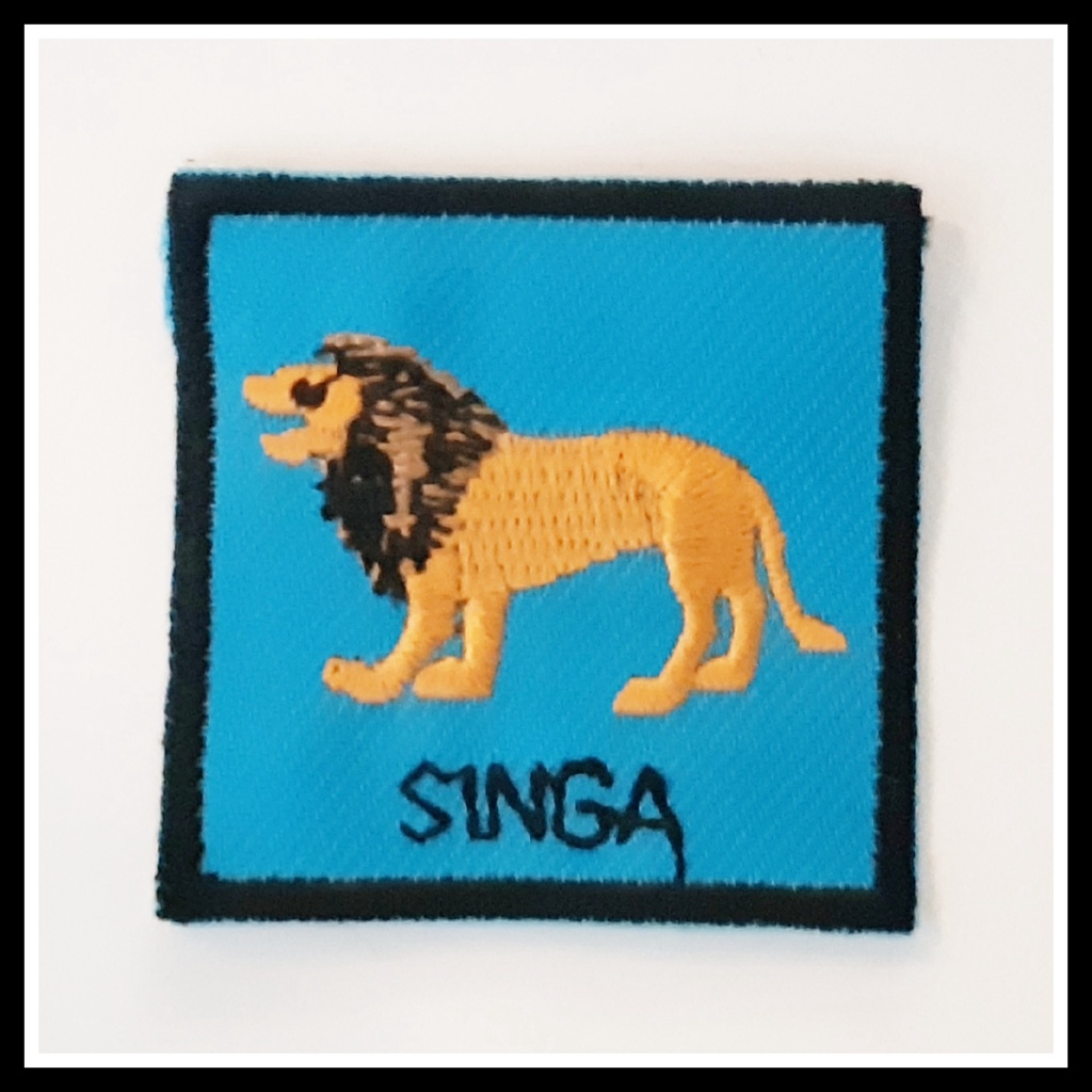 Jual Badge + Bendera Regu Pramuka Penggalang Putra [set] | Shopee Indonesia