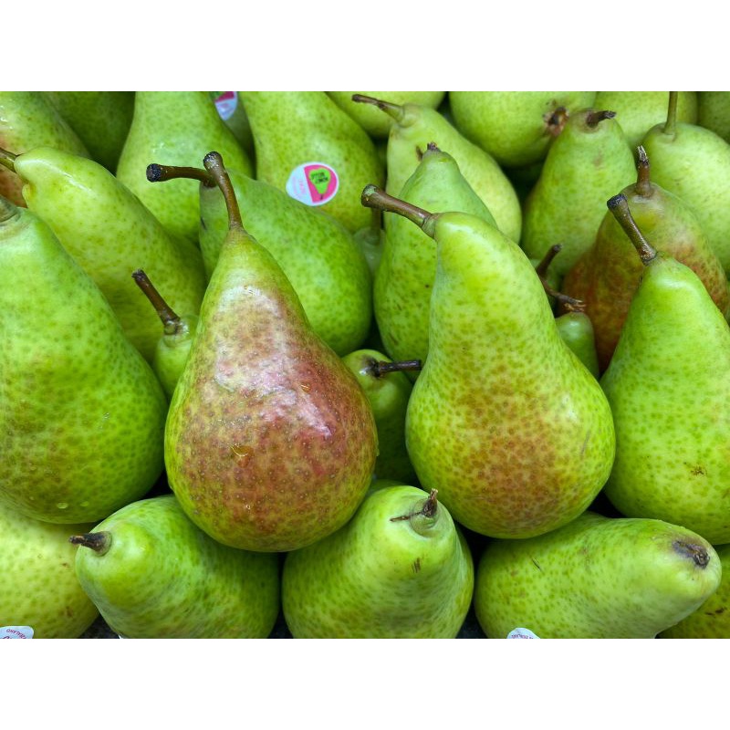Jual pear honey belle super | 1 kg | Shopee Indonesia