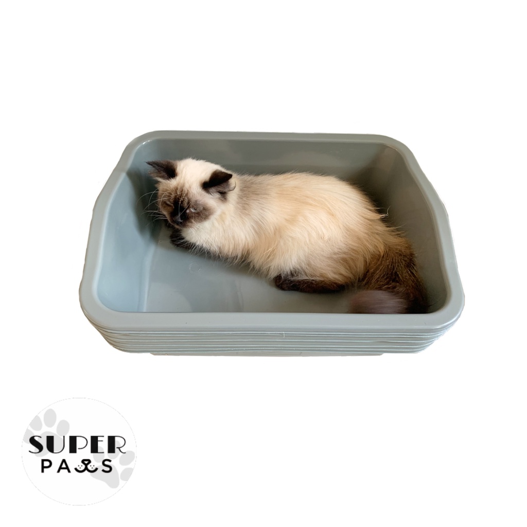 Jual Litter Box Ukuran L Besar / Bak Pasir / Kotak Pasir Kucing ...