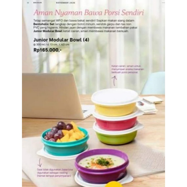 Jual Tupperware Junior Monular Bowl (free bubble wrap) | Shopee Indonesia
