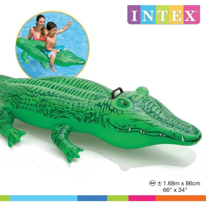 Jual INTEX 58546 BUAYA ride on 168 x 86 pelampung renang anak 3 sampai ...