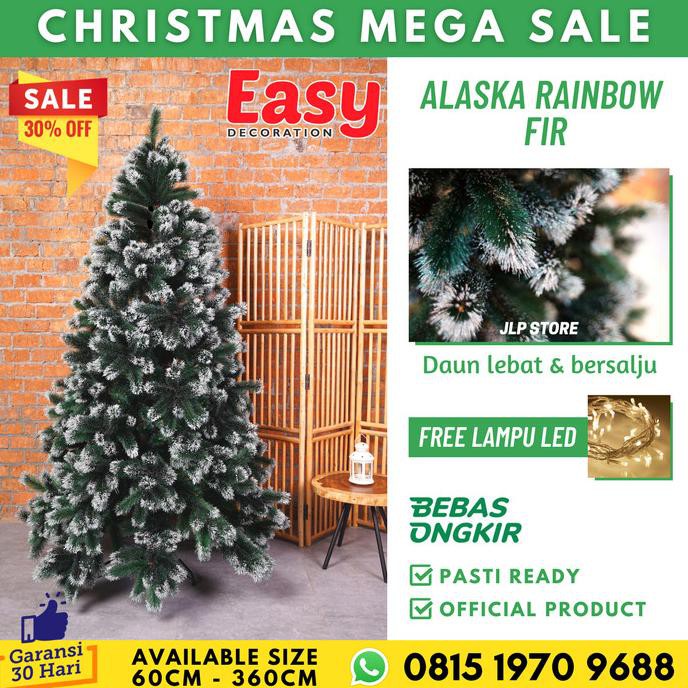 Jual Pohon Natal 1 Meter / 1.2m 120Cm 4Ft ALASKA RAINBOW FIR CHRISTMAS ...