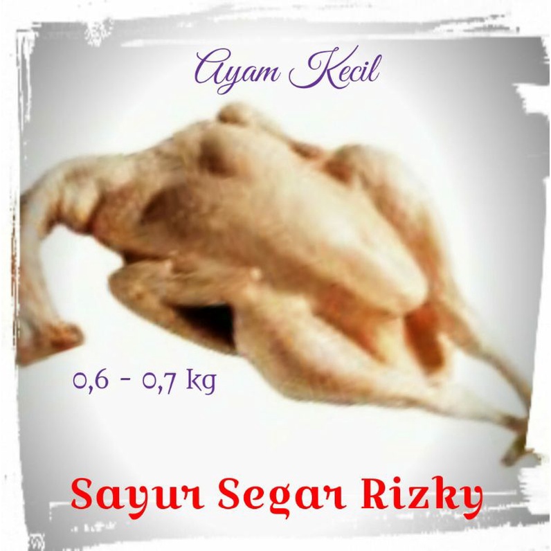 Jual Ayam Segar Kecil | Shopee Indonesia