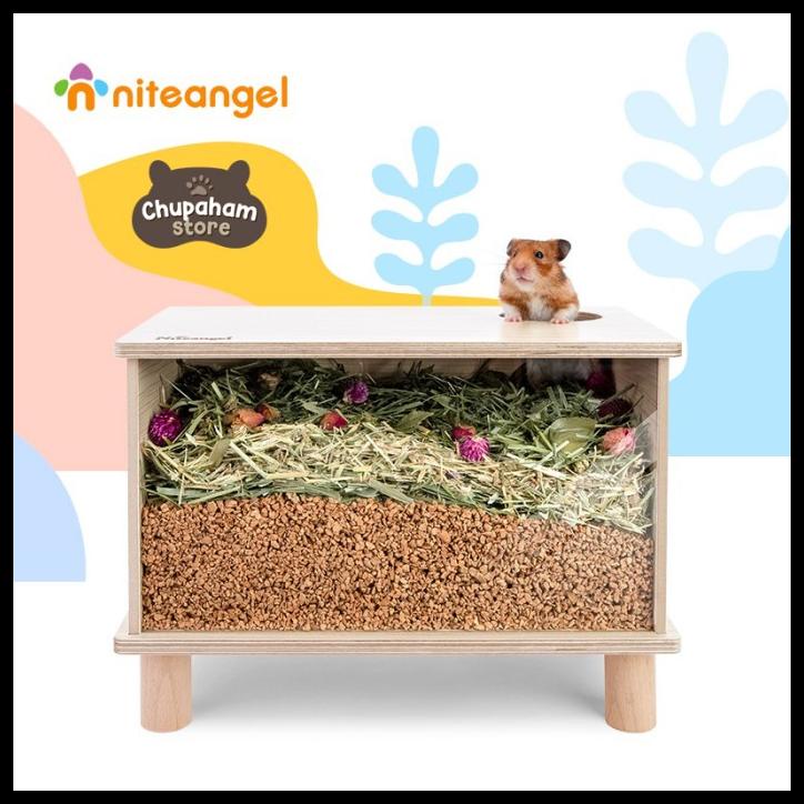 Jual Niteangel Burrow Box / Wadah Gali Burrow Hamster Import | Shopee ...
