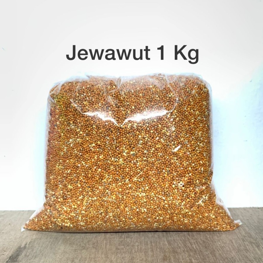 Jual Jewawut Kiloan Makanan Burung Finch Perkutut Parkit Emprit 1 kg ...