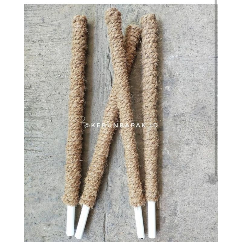 Jual Turus/Penyangga tanaman/Penyangga tanaman rambat | Shopee Indonesia