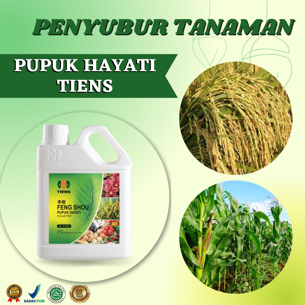 Jual Pupuk Feng Shou Tiens | Penyubur Tanaman Penguat Tanaman l Pupuk ...