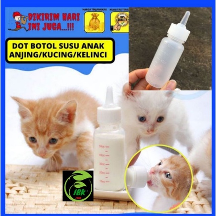 Jual Botol susu Kucing Dot susu Kucing Dot Anjing / PAKET Kitten Wadah ...