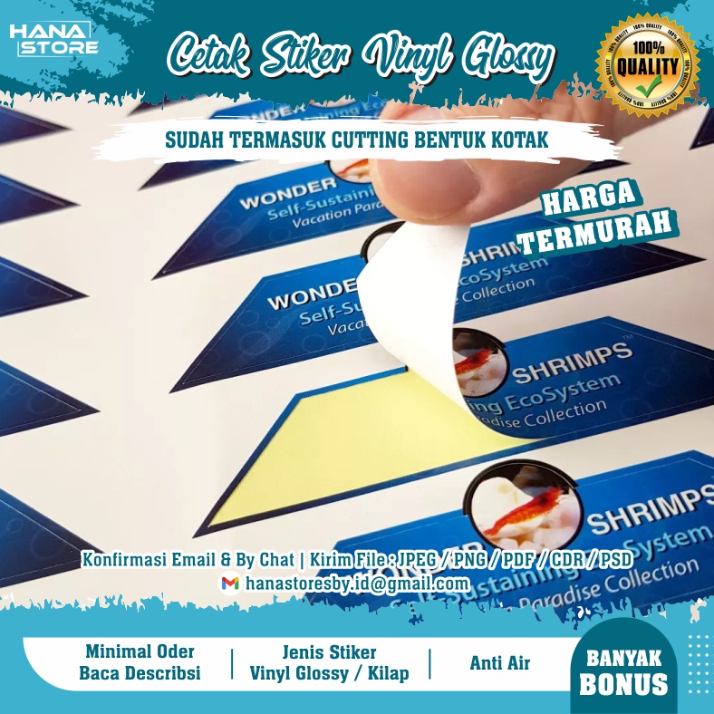Jual CETAK STIKER VINYL GLOSY LABEL KOTAK PERSEGI ANTI AIR STICKER ...