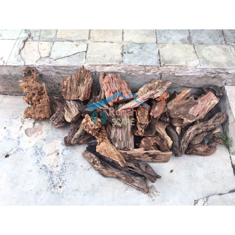 Jual kayu rentek aquascape natural alami | Shopee Indonesia