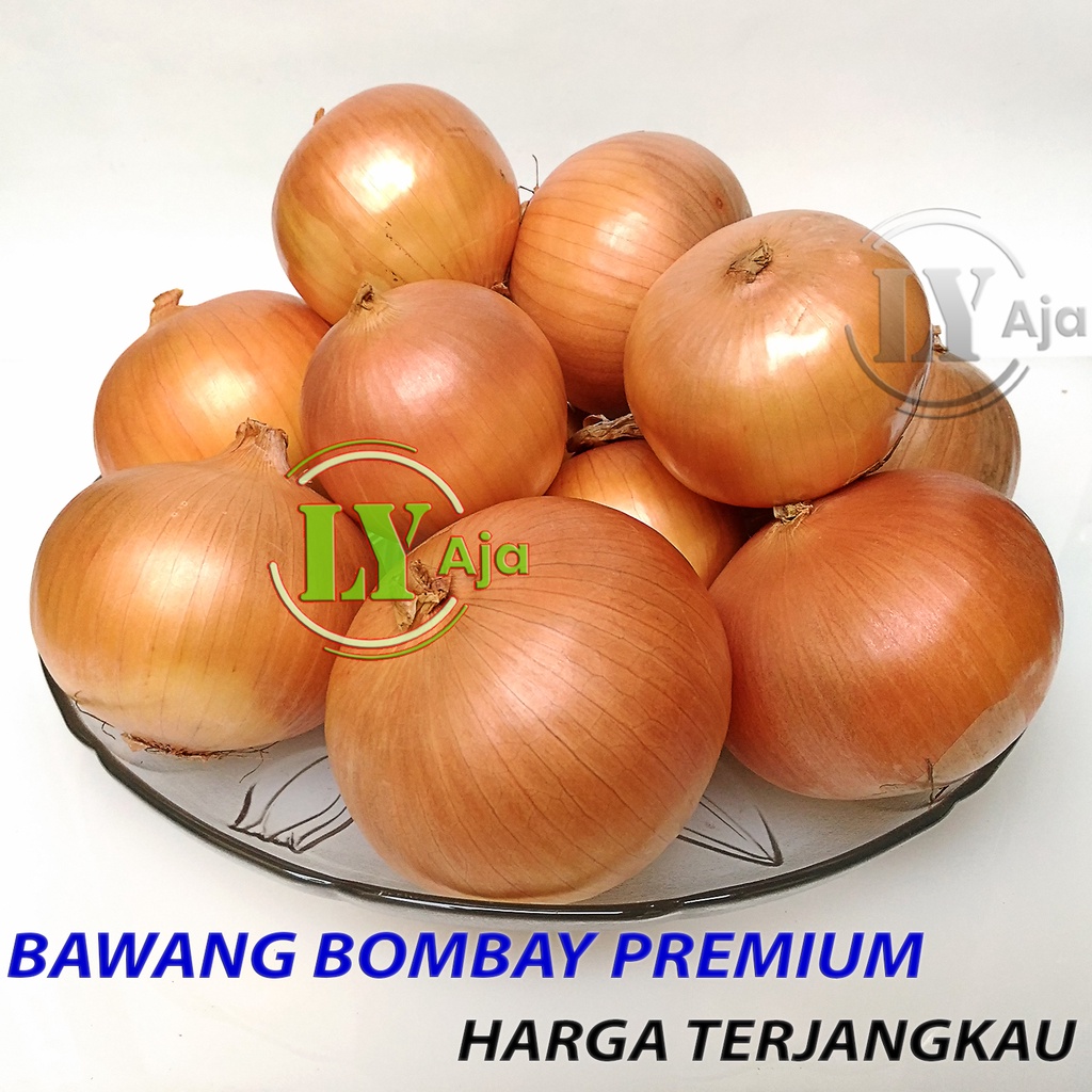 Jual Bawang Bombay Premium 1 Kg LY Aja 1Kg | Shopee Indonesia