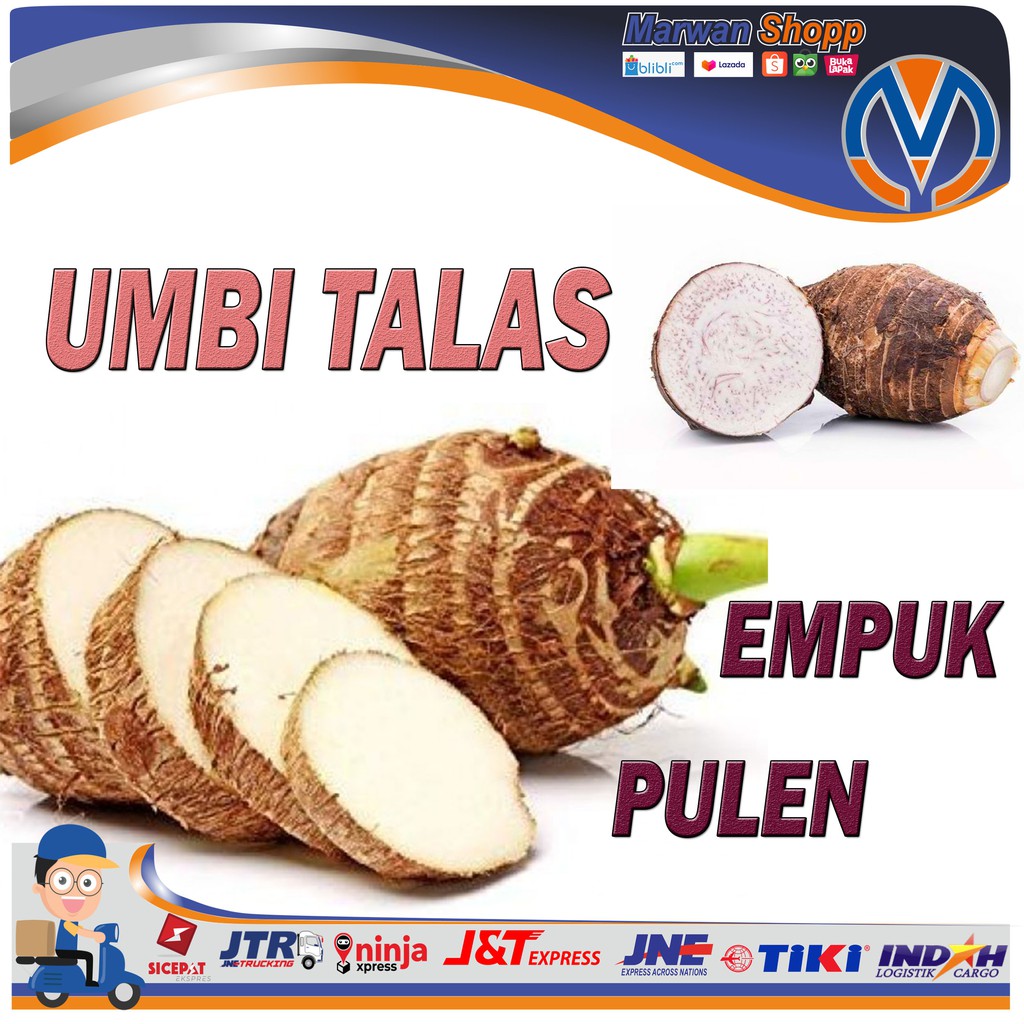 Jual Ubi Umbi Talas BESAR Pulen 1 Kg SUPER MARWAN SHOPP | Shopee Indonesia
