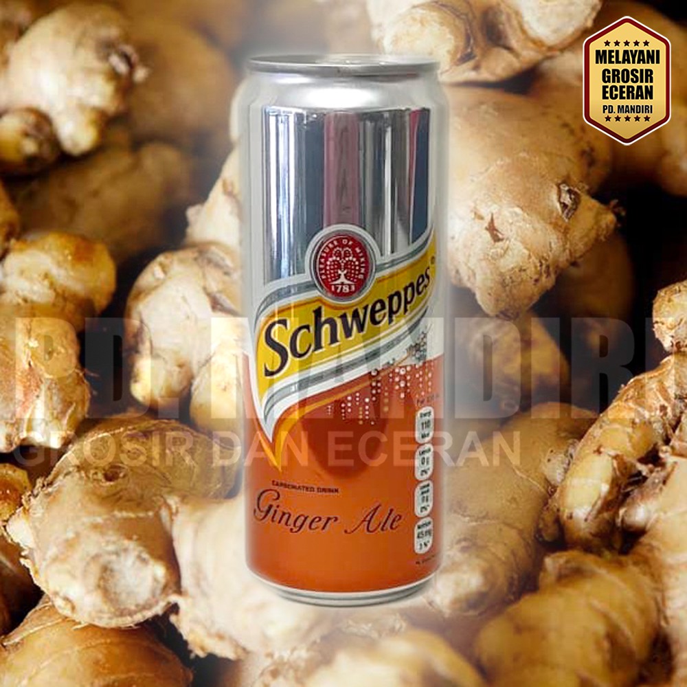 Jual SCHWEPPES GINGER ALE 330 ML | Shopee Indonesia