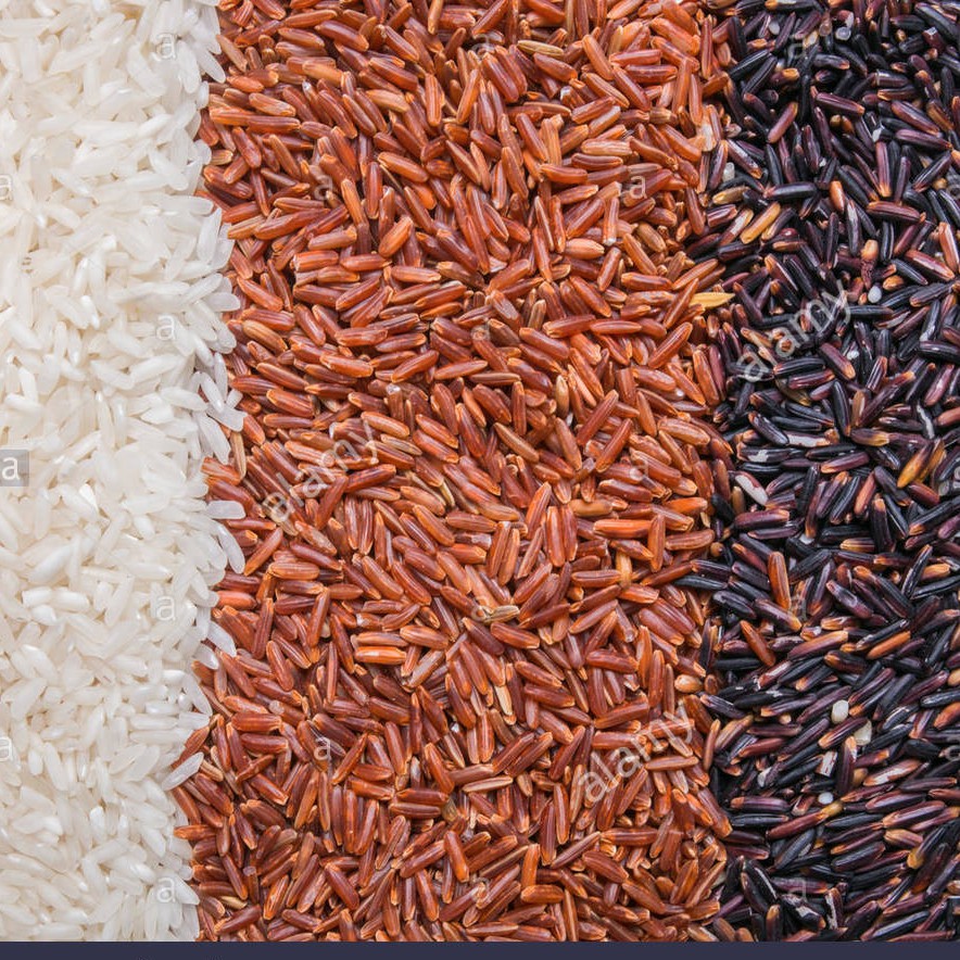 Jual Beras Mix Organik Beras Hitam Beras Merah Beras Putih 1 KG/Beras ...