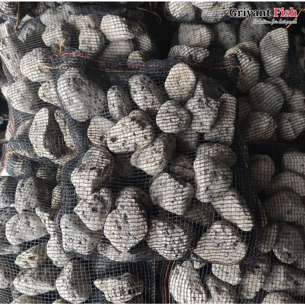 Jual Media Filter Kolam Koi Bio Filter Akuarium Mekanis Media Biologis ...