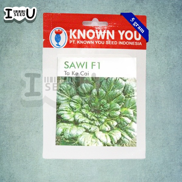 Jual Benih Sawi Pagoda TaKeCai – Known You Seed, Bibit Premium Sayuran ...