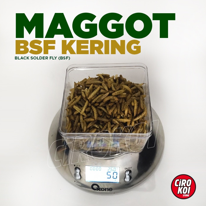 Jual MAGGOT KERING / BSF / Maggot Premium Eceran / 50gr FREE 10% Repack ...