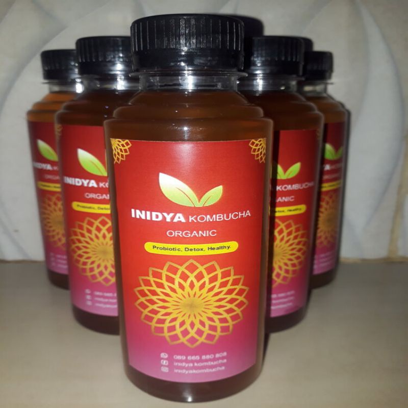 Jual Beli 5 Botol GRATIS 1 Botol KOMBUCHA TEA ORIGINAL 250ML | Shopee ...